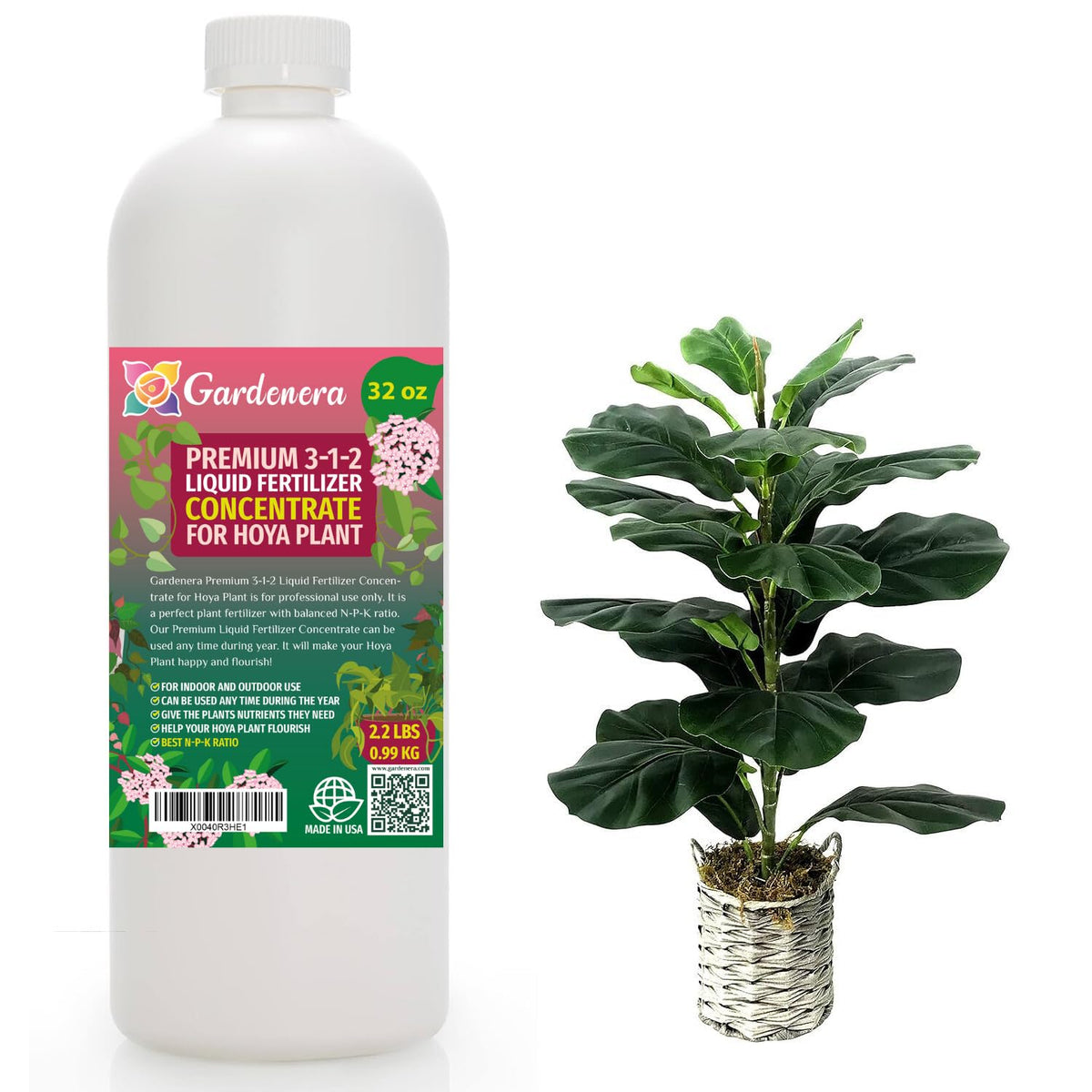 Premium Liquid Fiddle Leaf FIG Plant Fertilizer - 3-1-2 Concentrate fo ...