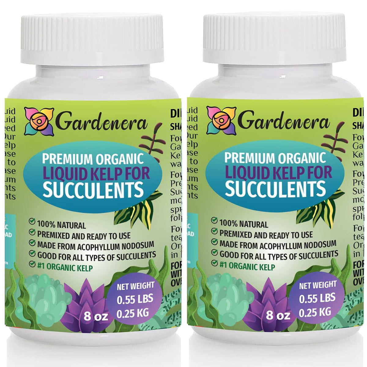 GARDENERA Concentrated Kelp & Seaweed Extract for Succulents and Cacti ...