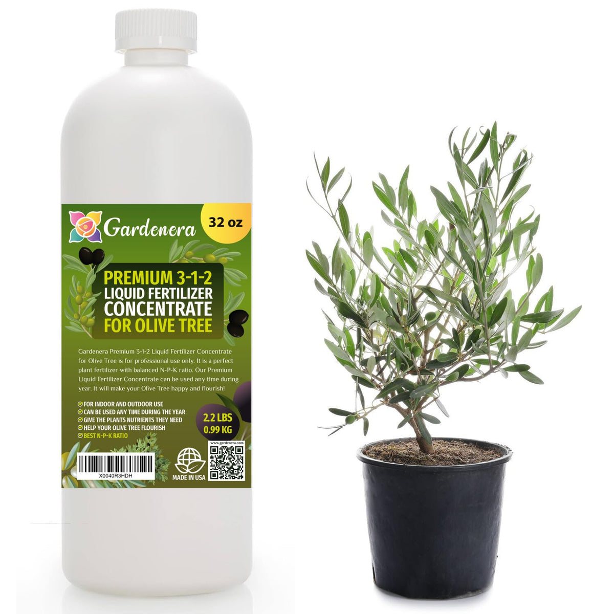 Premium Liquid Olive Tree Plant Fertilizer - 3-1-2 Concentrate for Ind ...