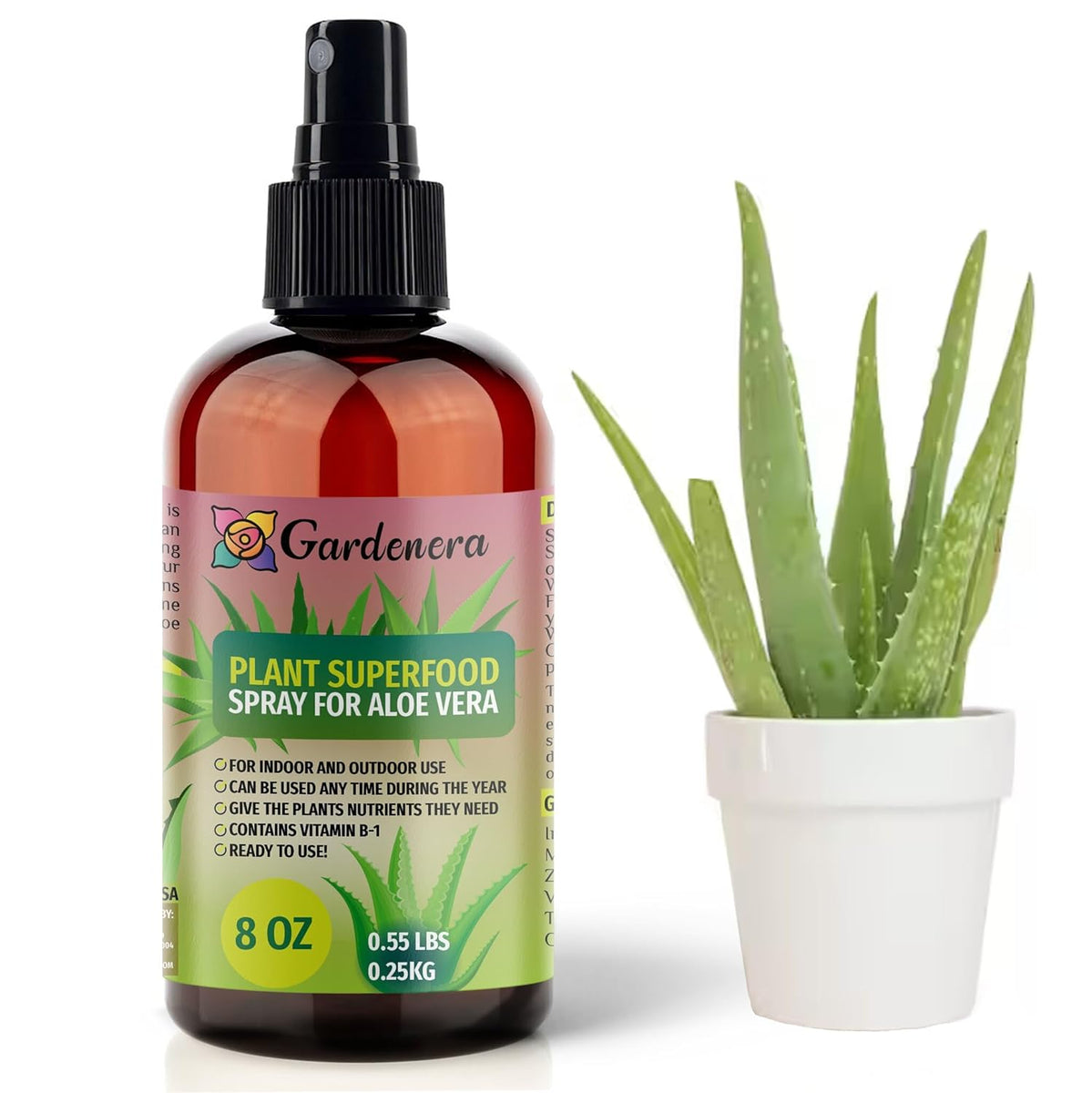 Plant Superfood for ALOE VERA Plants with B1 Vitamin, Glucose and Esse ...